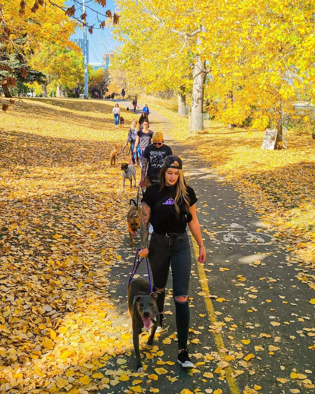 Team — Heart Mountain Rescue