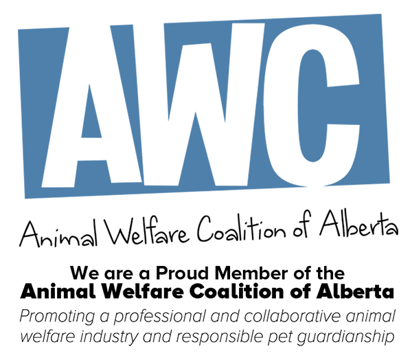 Heart Mountain Rescue