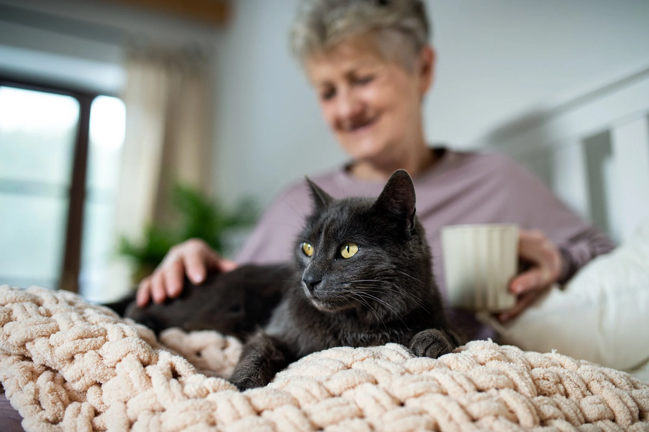 What We Do — AnimalKind NY: Animal Welfare Organization and Shelter in ...