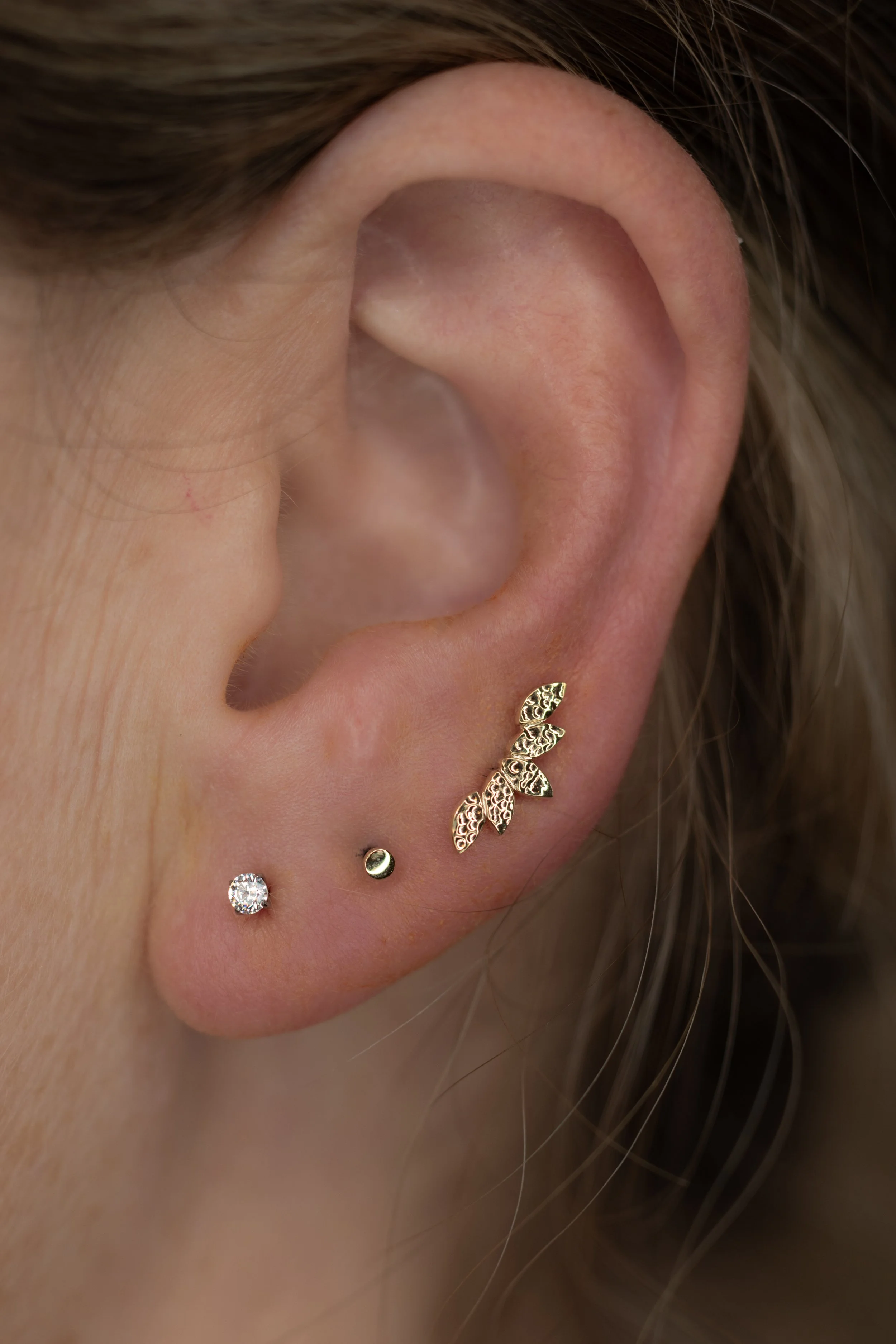 Our Services — foxandfernpiercing.com