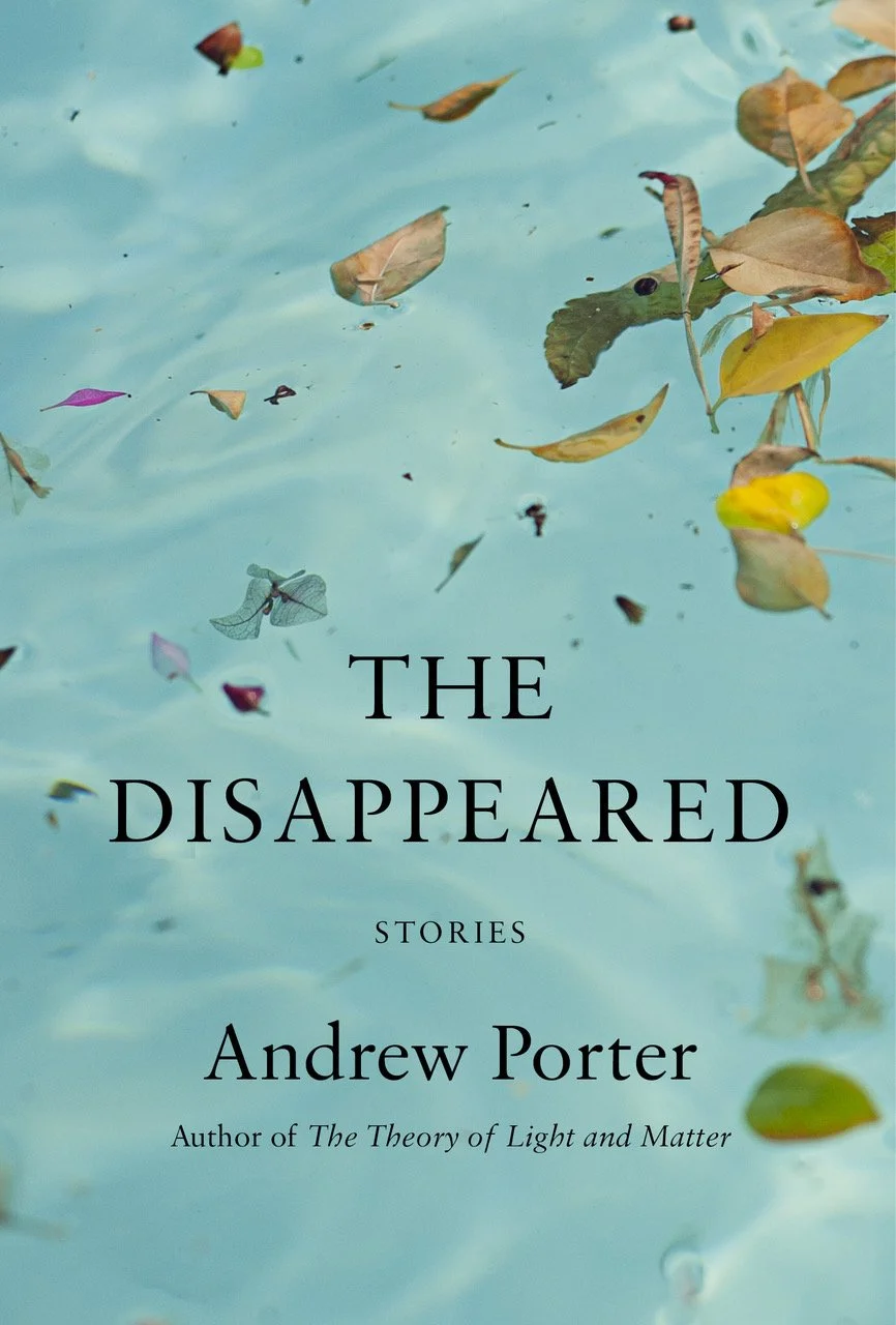 The Disappeared — Andrew Porter