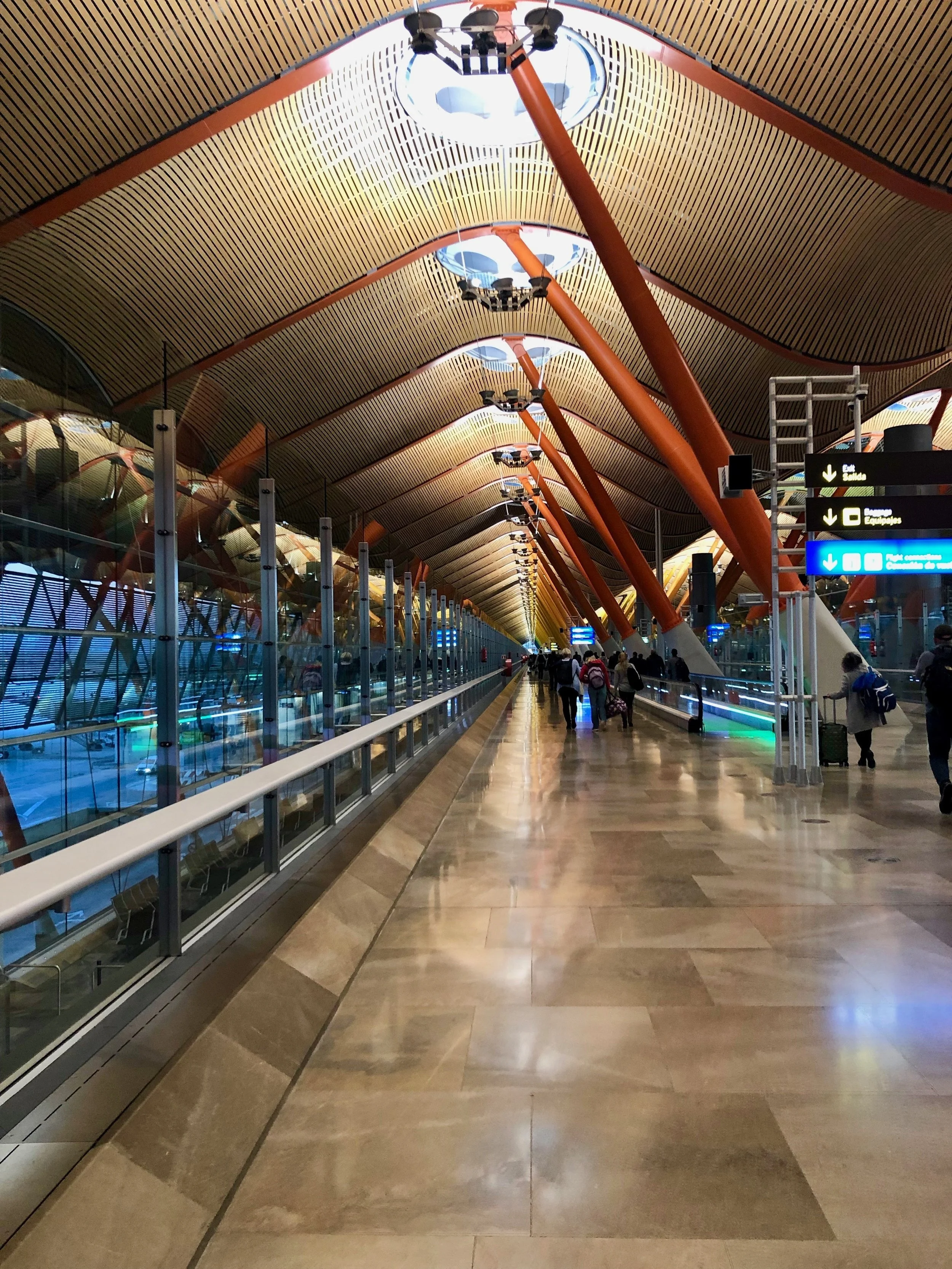 2019 Anniversary Cruise Day 1 - Traveling to Rome — Addy and Terry Travel