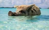 Sailing into Spring: Top Cruise Destinations for April Adventures ...