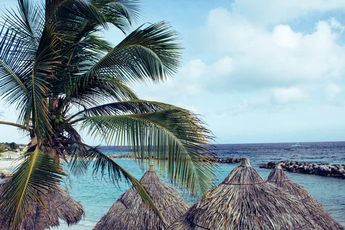 Navigating the Caribbean: A Guide to Cruising in the Spring — Addy and ...