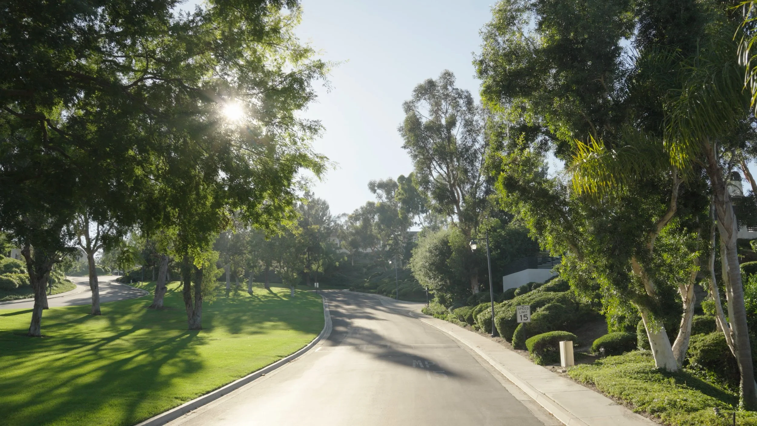 Legacy Landscape Company