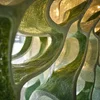 The Application of Algae-Based Materials in Green Architecture ...