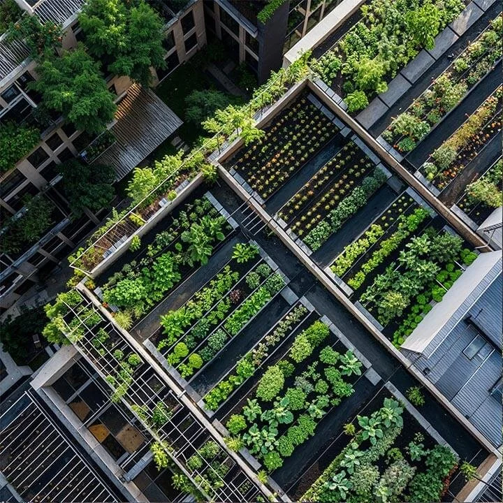 Integrating Urban Agriculture into Architectural Design for a Greener ...