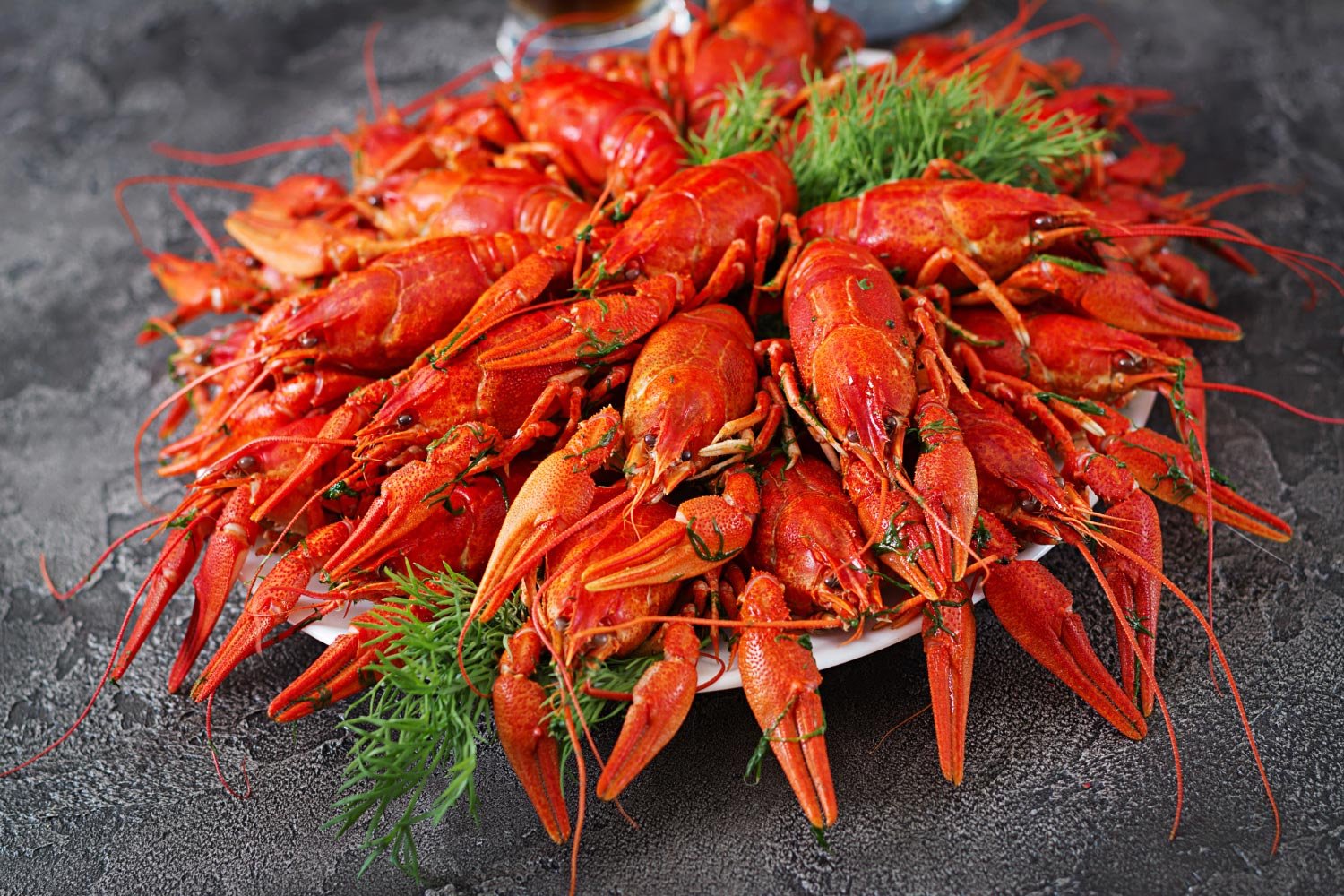 Cafe Sierra Los Angeles Menu — Cafe Sierra | All-you-can-eat Seafood ...