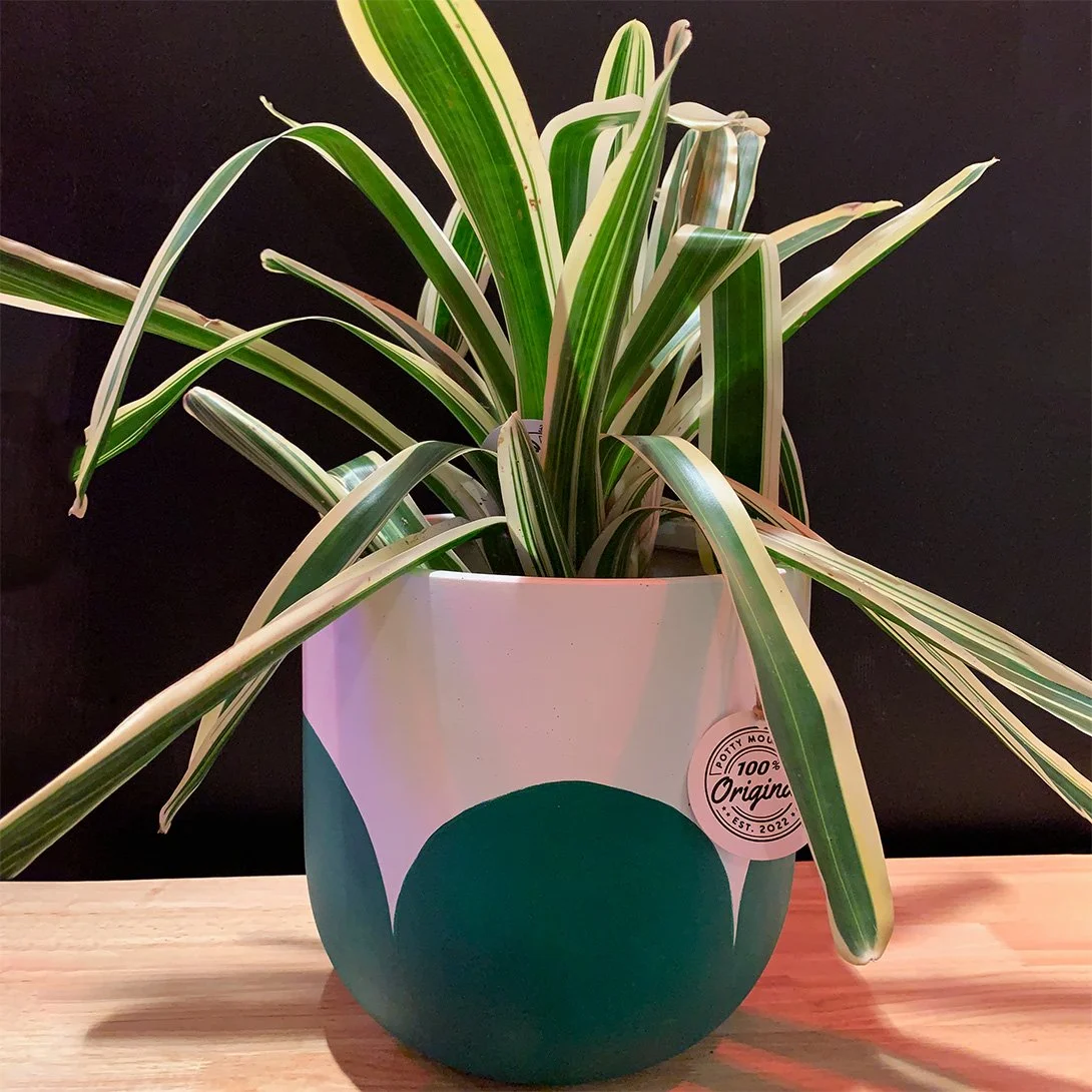 Potty Mouth Company: Colourful hand-painted pots