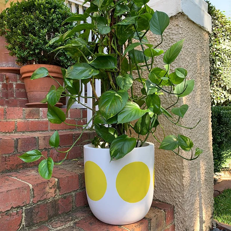 Potty Mouth Company: Colourful hand-painted pots