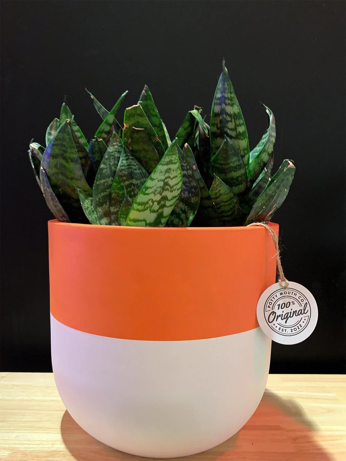 Potty Mouth Company: Colourful hand-painted pots