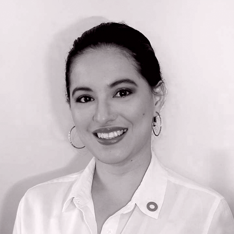 Who we are — 2X Global