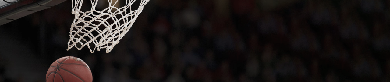 The Evolution of Sustainable Human Performance — Tignum