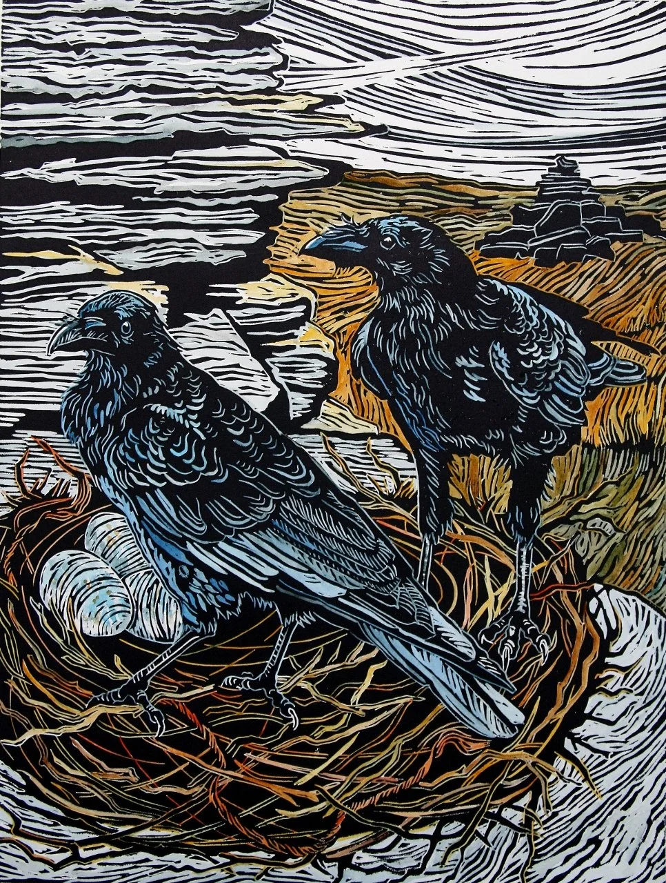 Raven's sitting on their nest with eggs — Marielle Ebner-Rijke