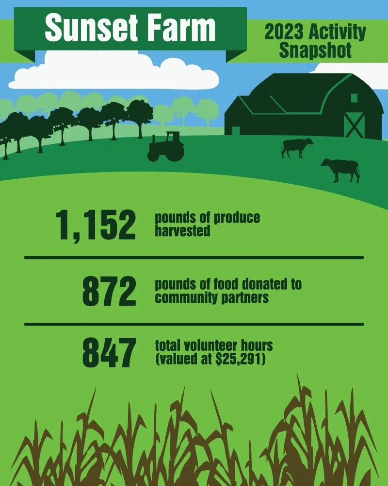 Healthy Living Programs — The Park CDC