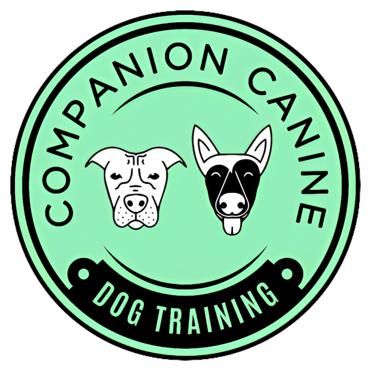 In-Person & Private Dog Training, Puppy Classes, Dog Obedience Training ...