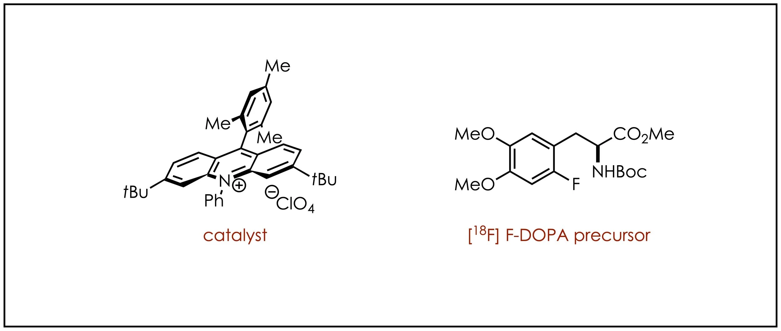 Services 3 — LED Radiofluidics