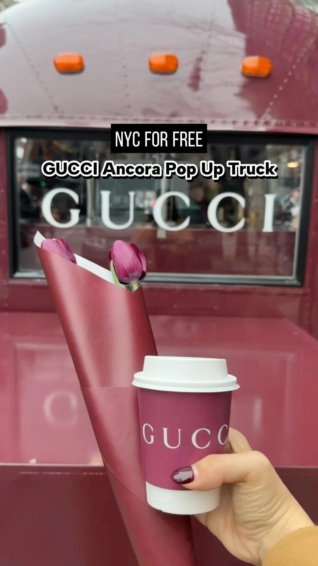 NYC Birthday Freebies NYC For FREE nyc-birthday-freebies-nyc-for-free