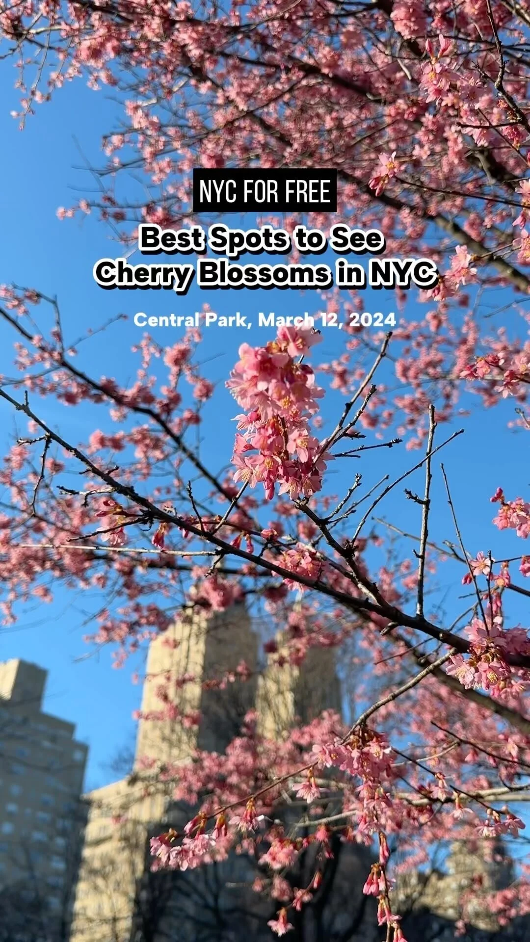 Lindt LINDOR Valentine's Day Chocolate & Poetry Pop-Up — NYC for FREE