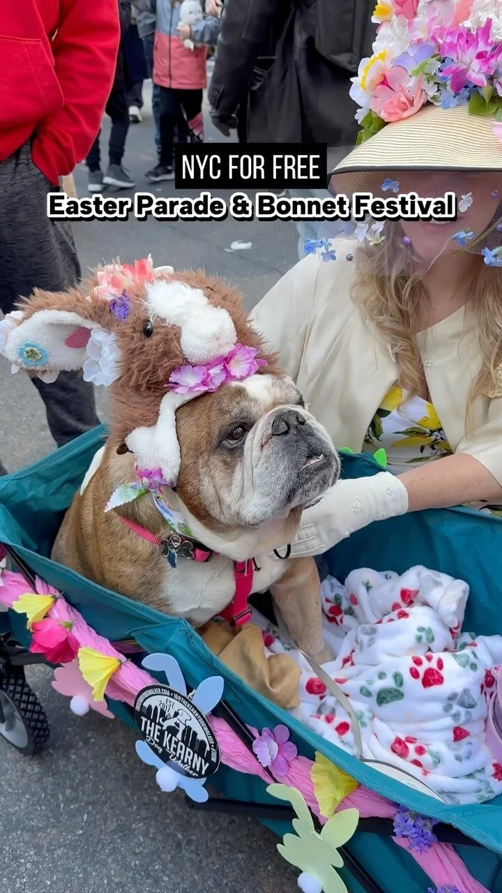 NYC Birthday Freebies — NYC for FREE