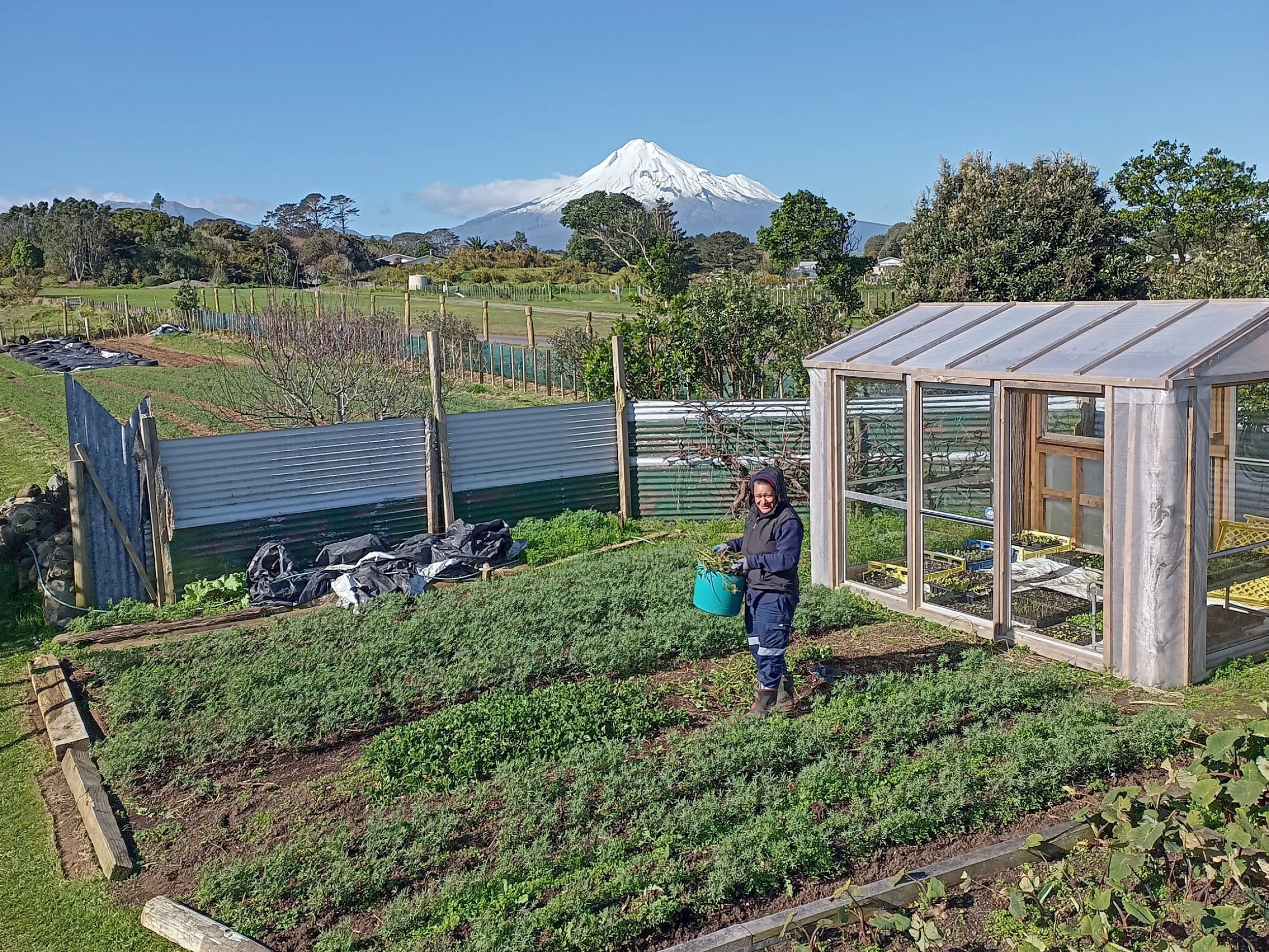 Parihaka māra - tour and kōrero — Sustainable Taranaki