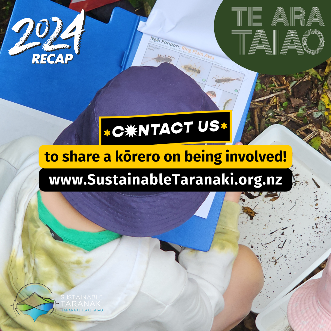 Local actions, big impact: our 2024 recap! — Sustainable Taranaki