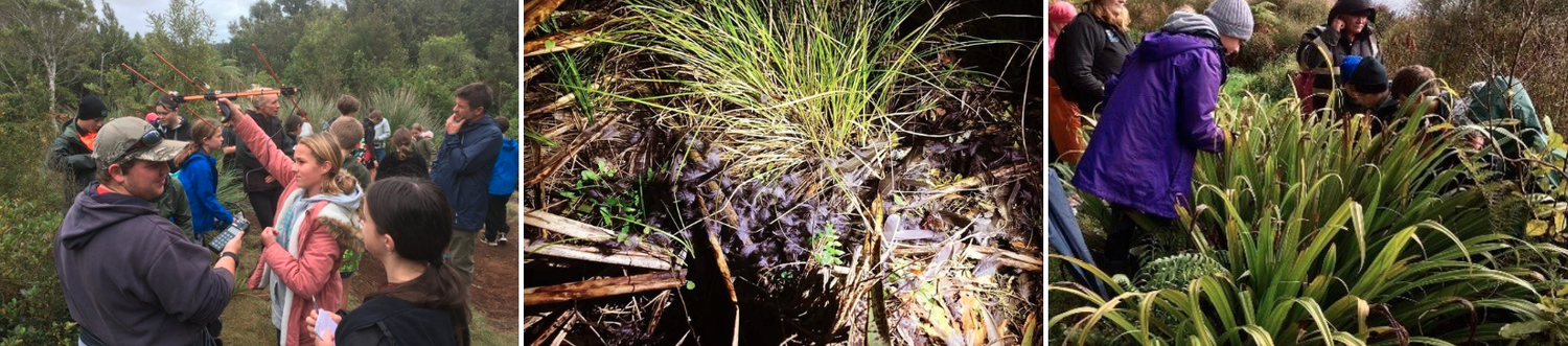 Te Ara Taiao programme — Sustainable Taranaki