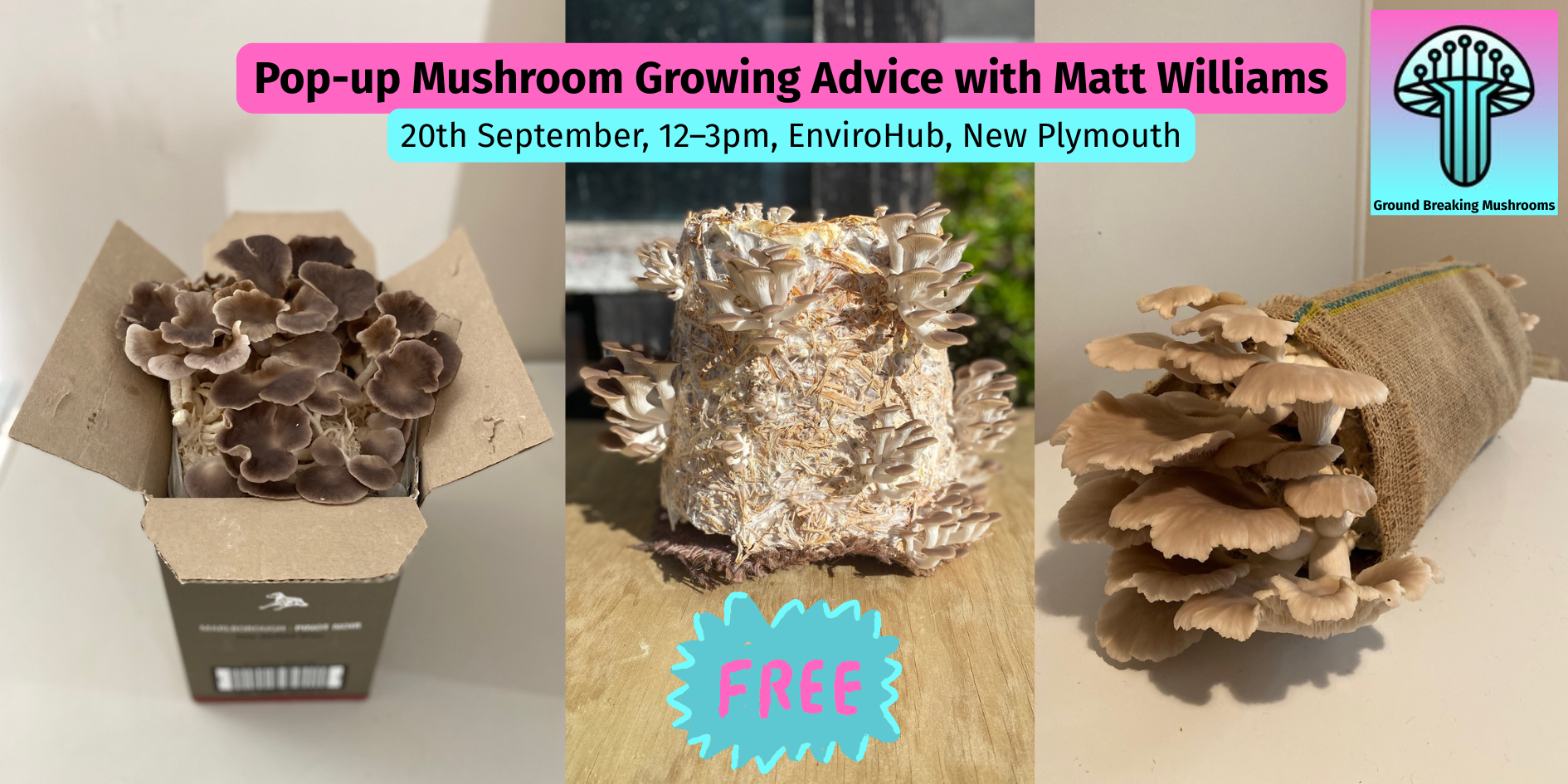 Free Pop-up Mushroom Growing Advice with Matt Williams — Sustainable ...