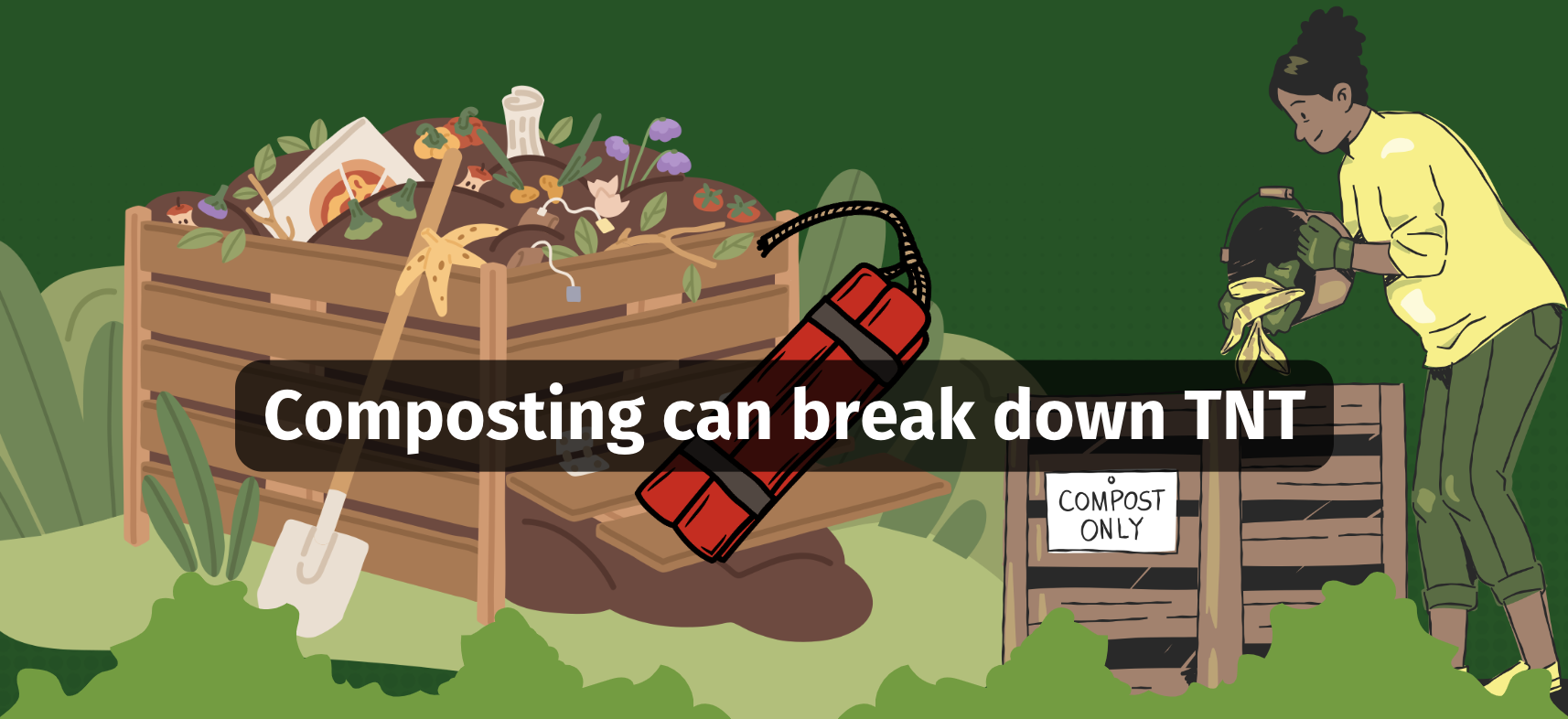 8 Things You Didn’t Know About Composting — Sustainable Taranaki