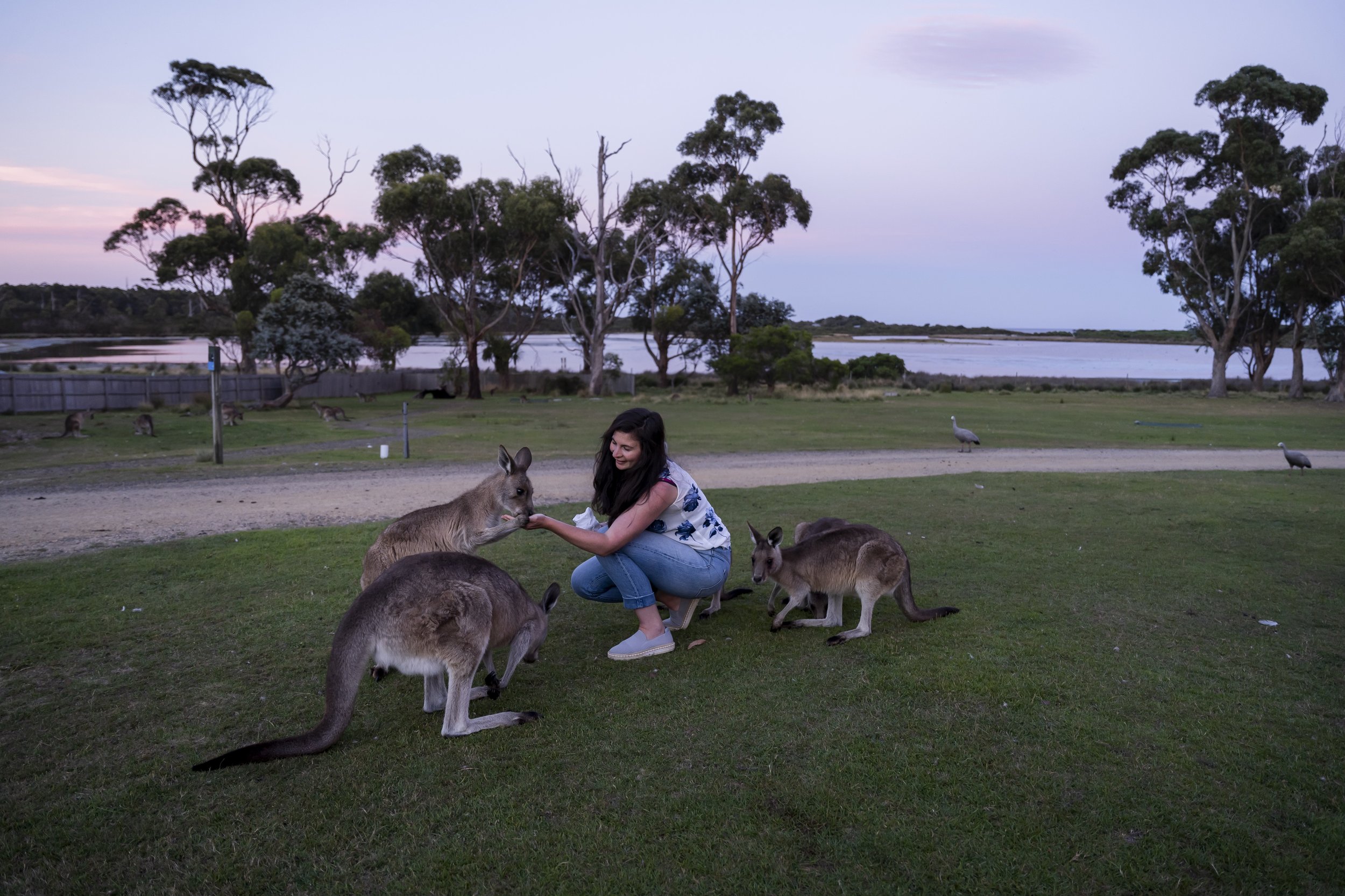 Encounters — East Coast Natureworld