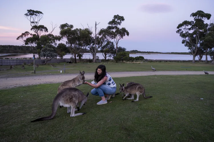 East Coast Natureworld