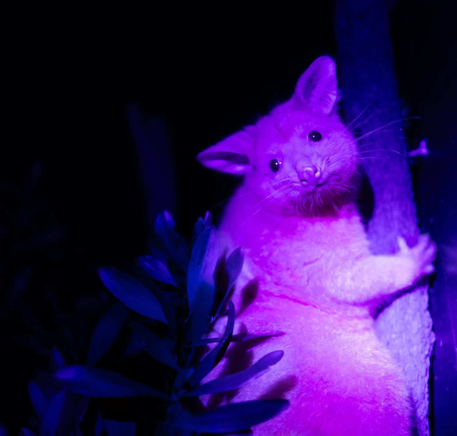 East Coast Natureworld