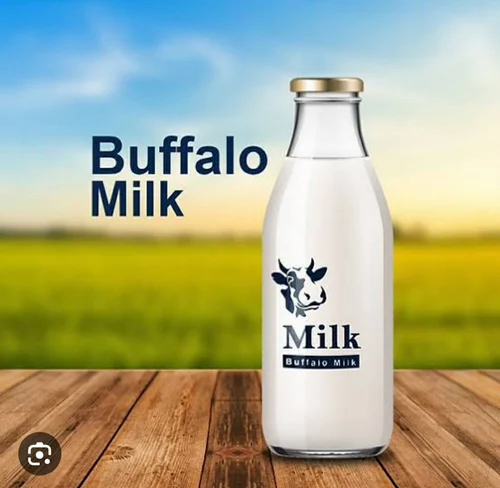 A Guide to Milk Varieties: Choose the Healthiest Option for Your Diet ...