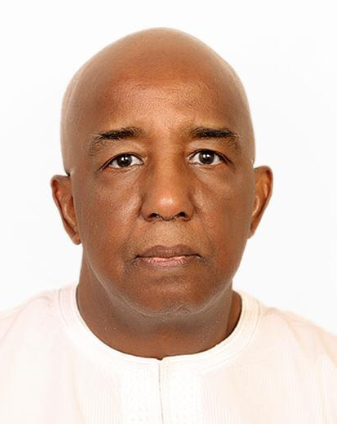 Directors — Idehen & Wada Consulting