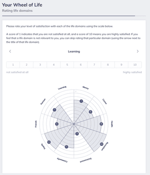 The Wheel of Life: Your New Best Friend for Achieving Balance and ...