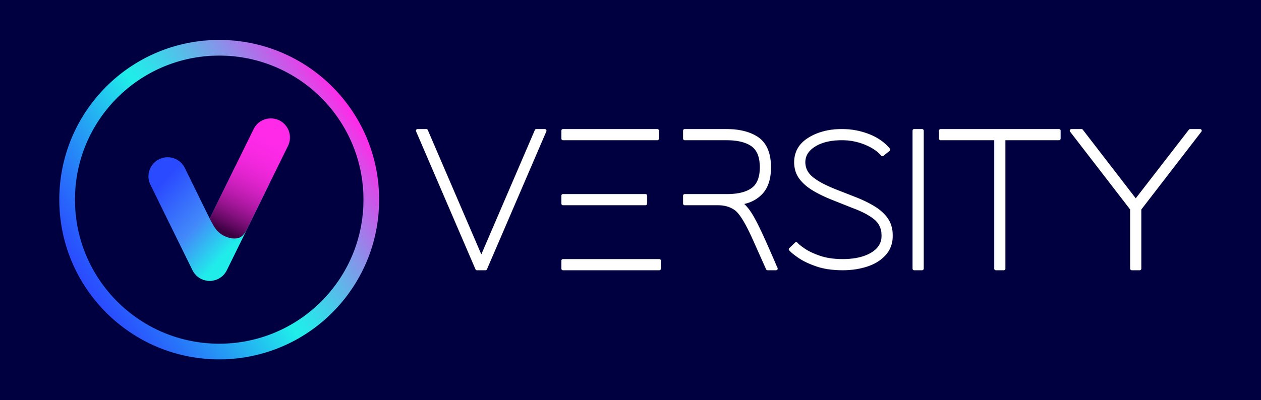 Current Investments — Capital Système Investissements