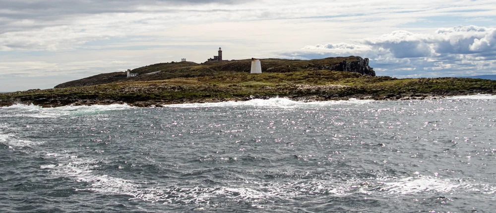 Gallery — Isle of May Boat Trips