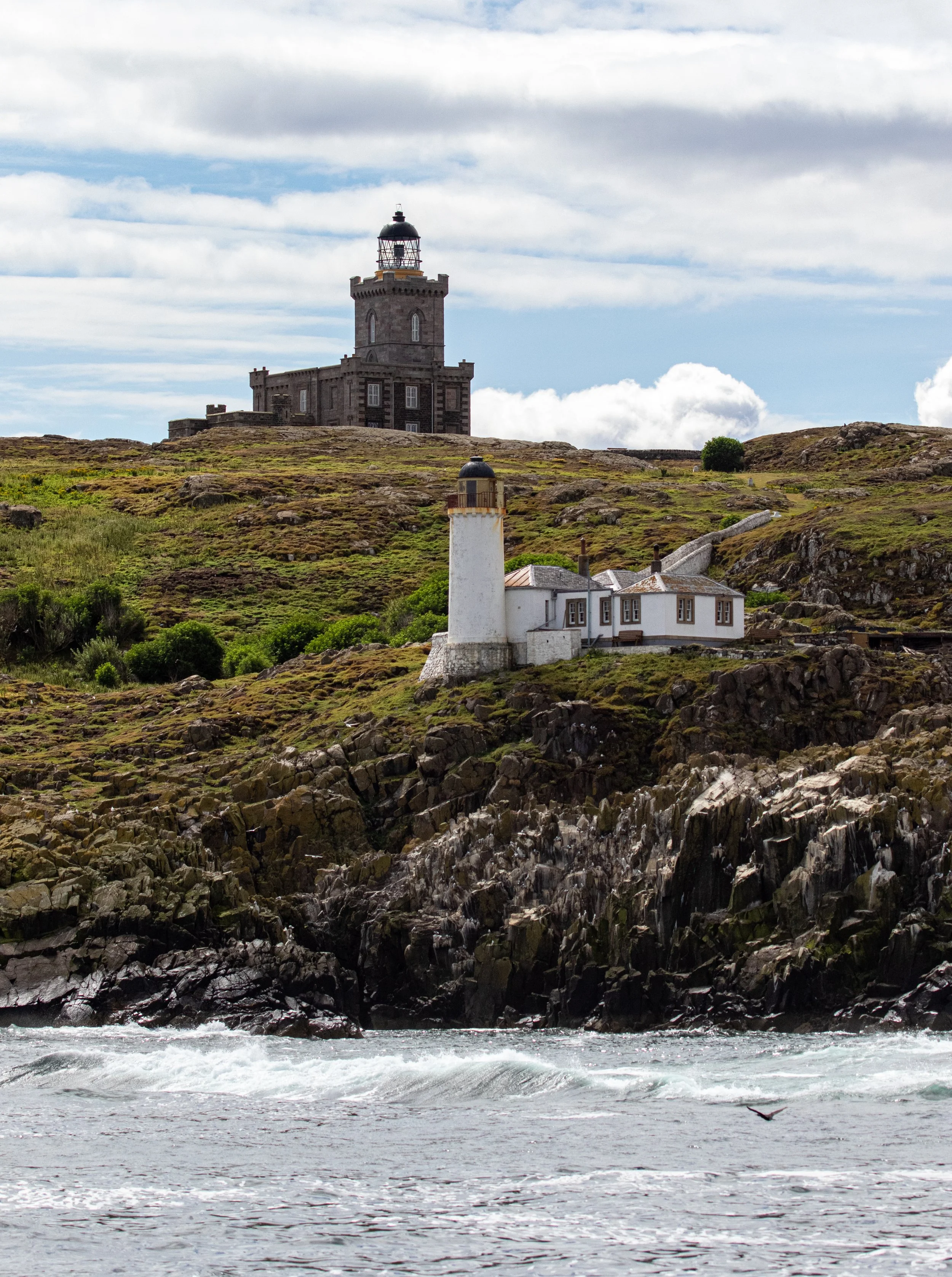Isle of May Boat Trips
