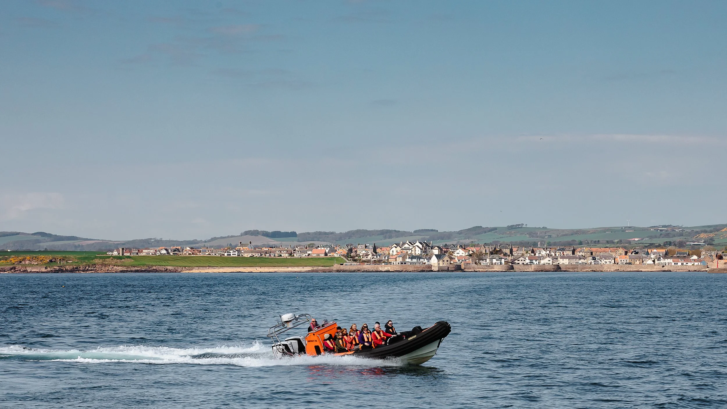 Gallery — Isle of May Boat Trips