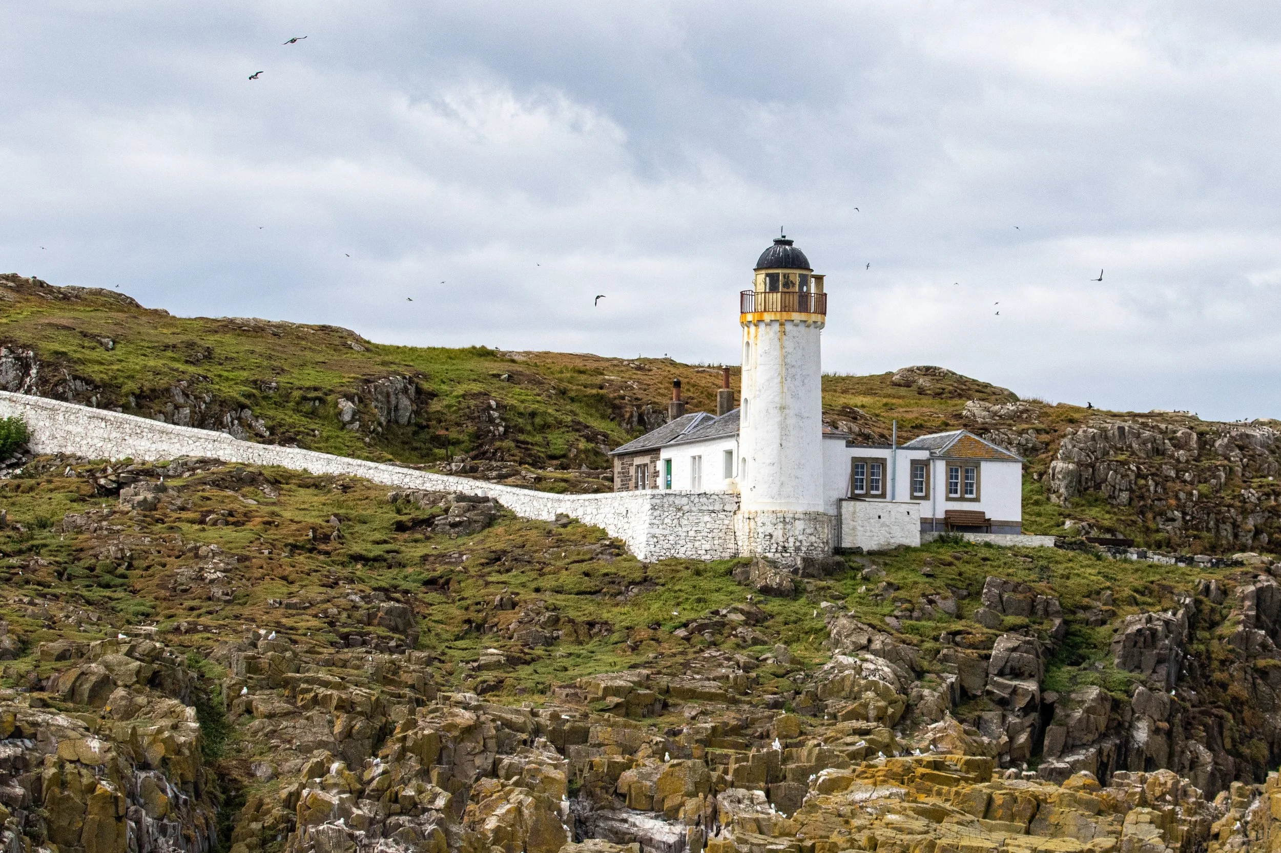 Sailing Times and Booking — Isle of May Boat Trips