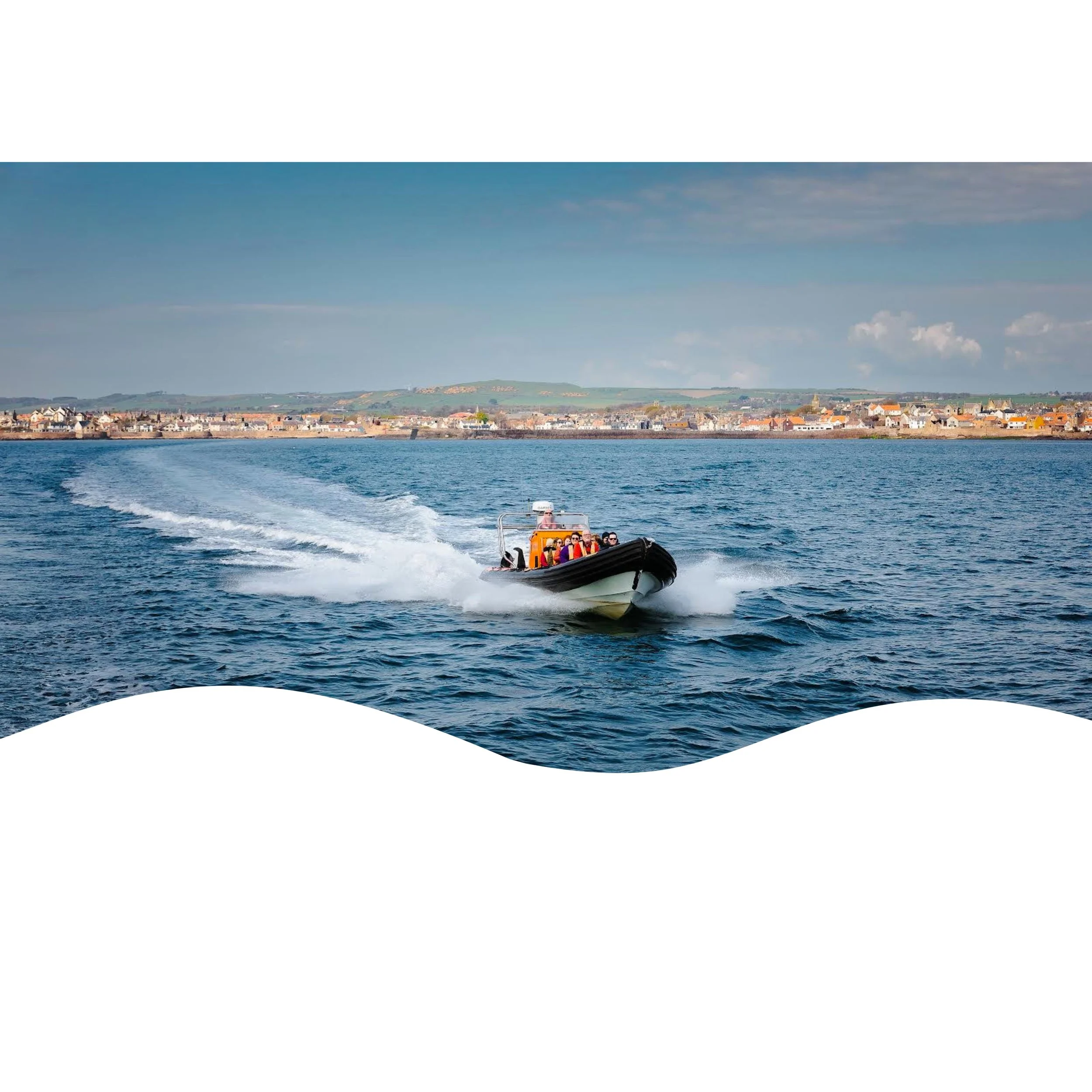 Isle of May Boat Trips