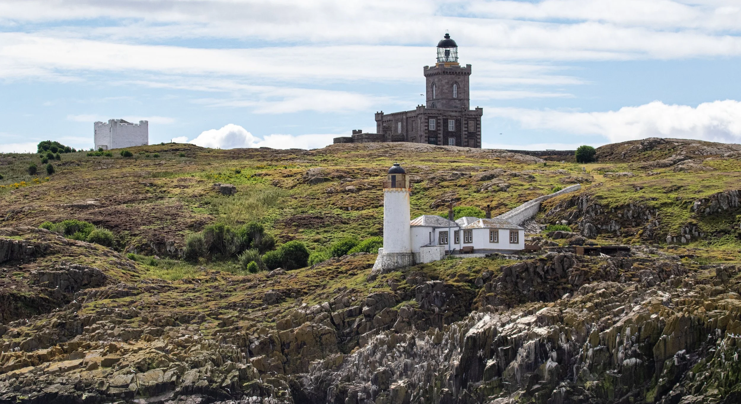 The Isle of May — Isle of May Boat Trips