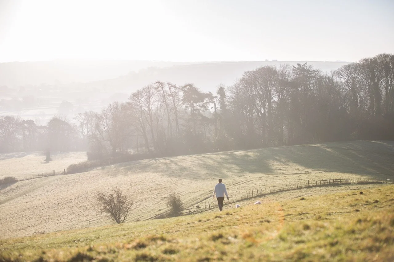 Contact — Laura Butler Madden