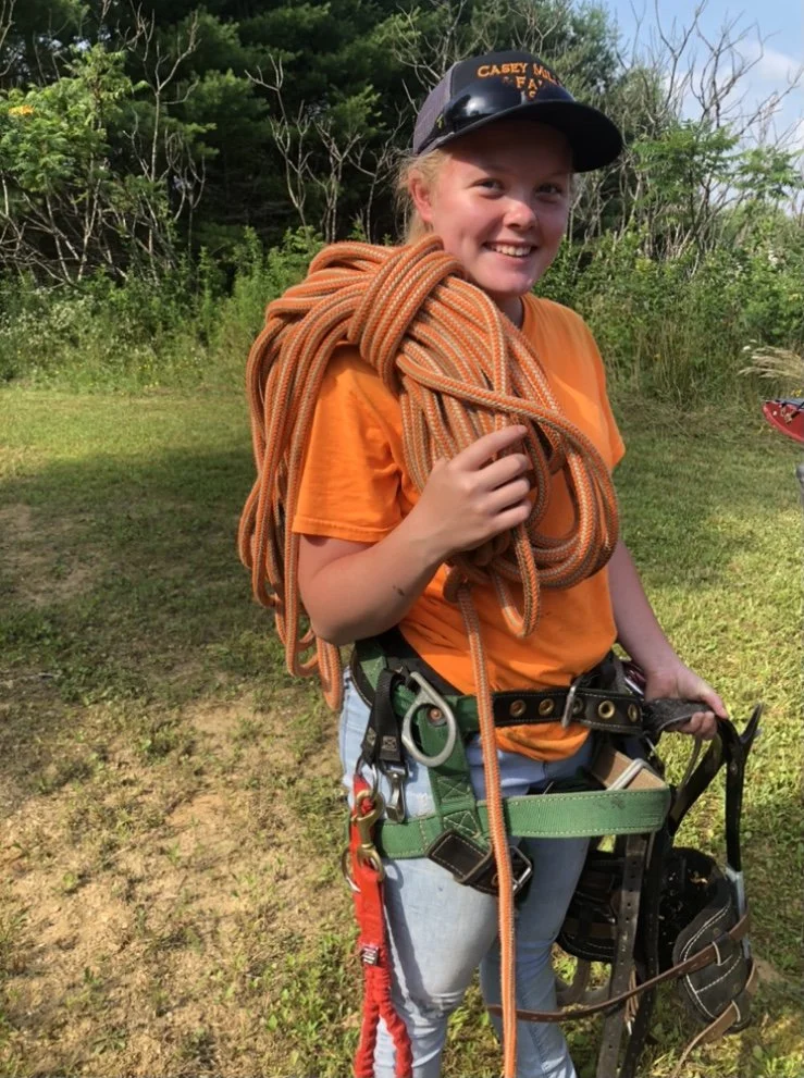 Casey Miller & Family Tree Service—caseymillerfamilytreeservice.com