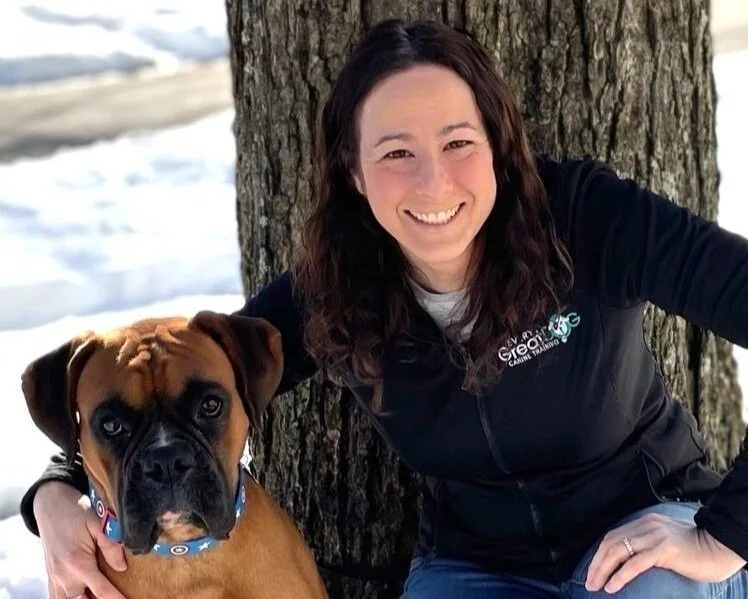 About Us — Every Great Dog