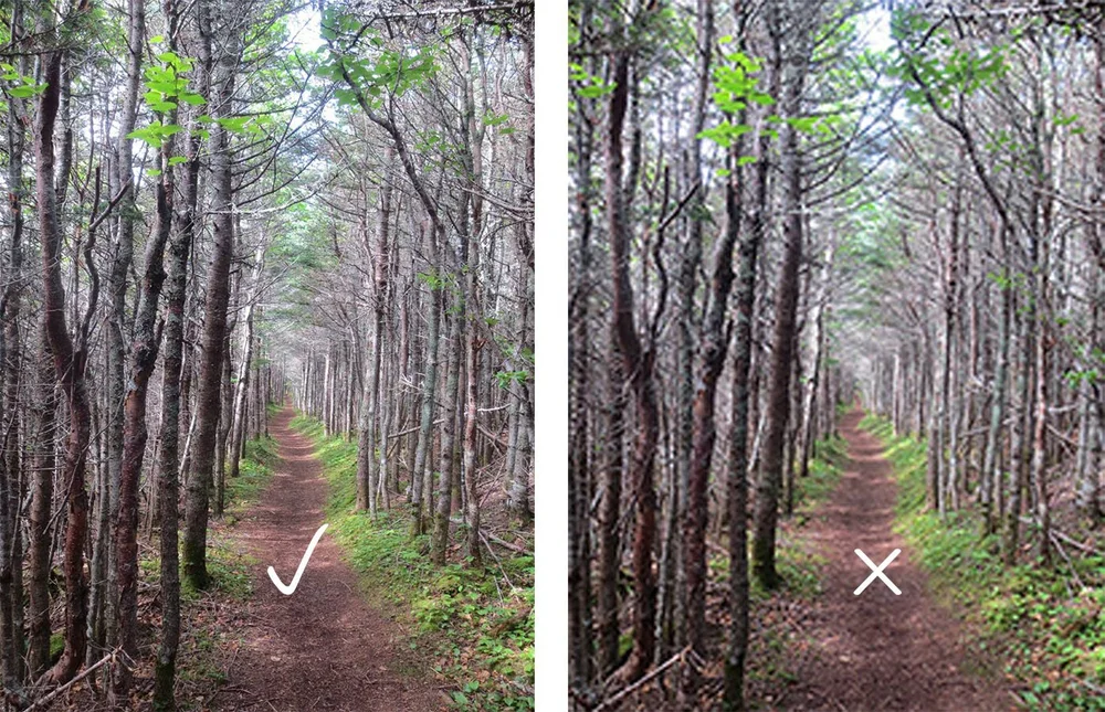 10 free places for images to use on your website
