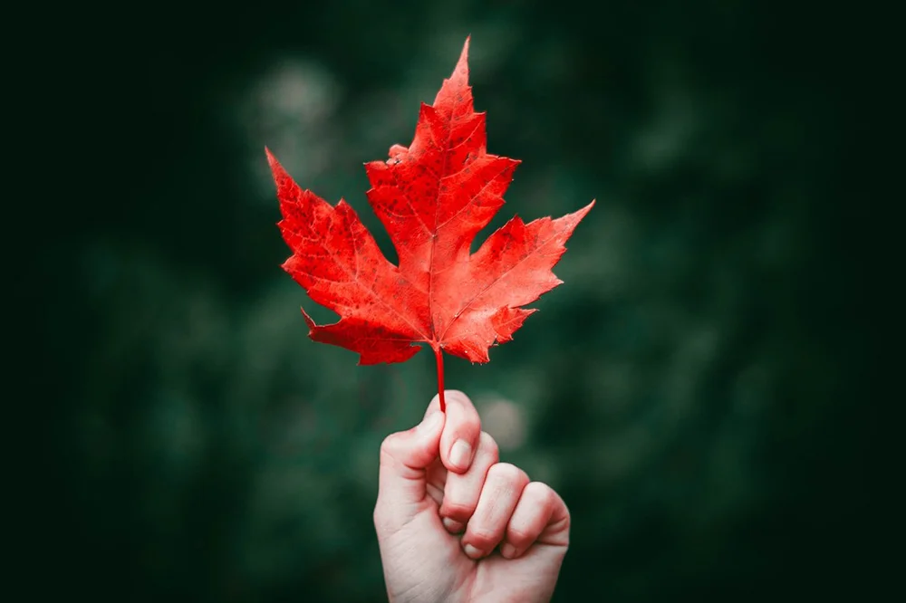 Squarespace Canada: Is Squarespace Right for my Canadian Business