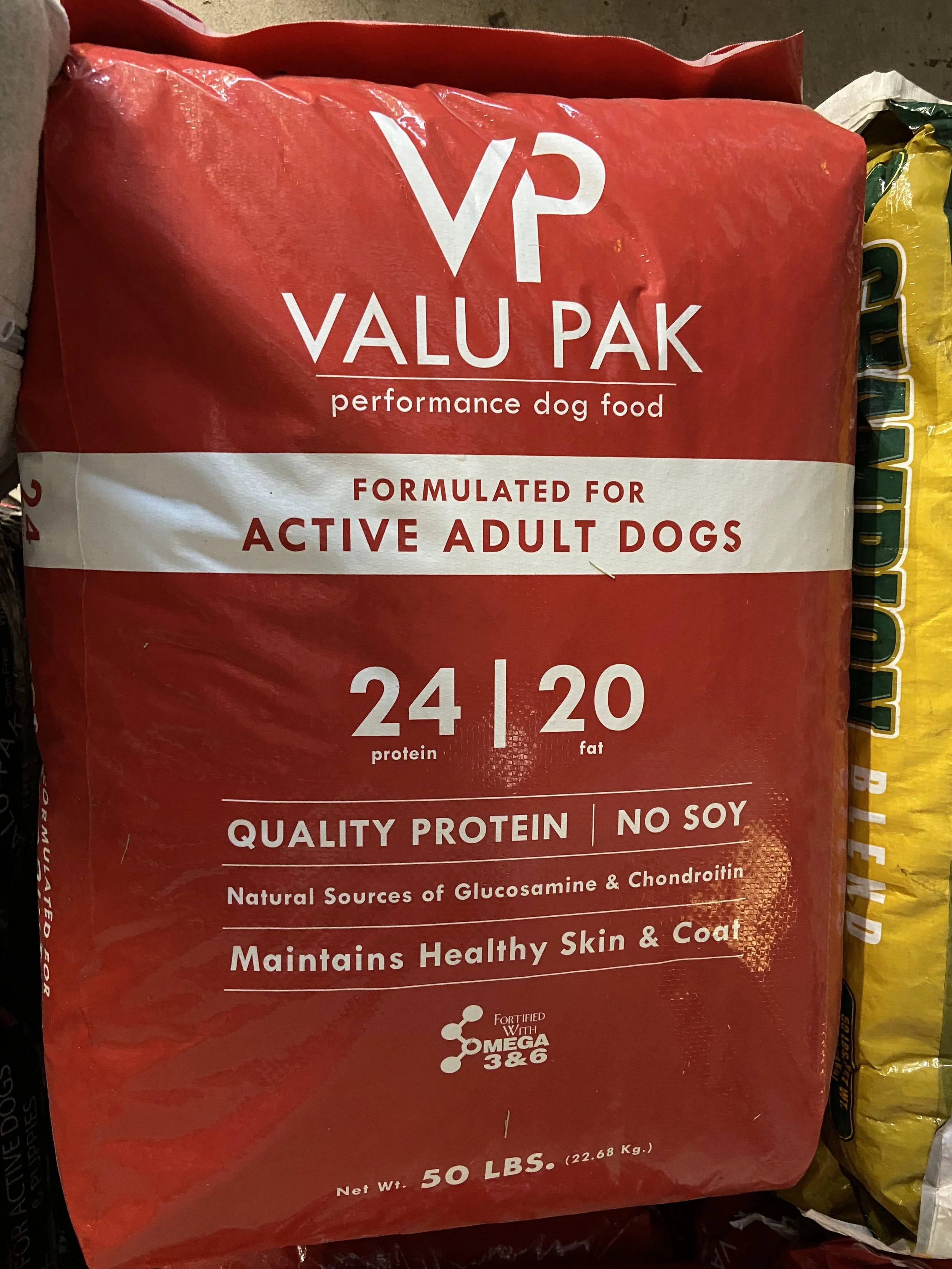 Cat + Dog — Deep Creek Game Farm