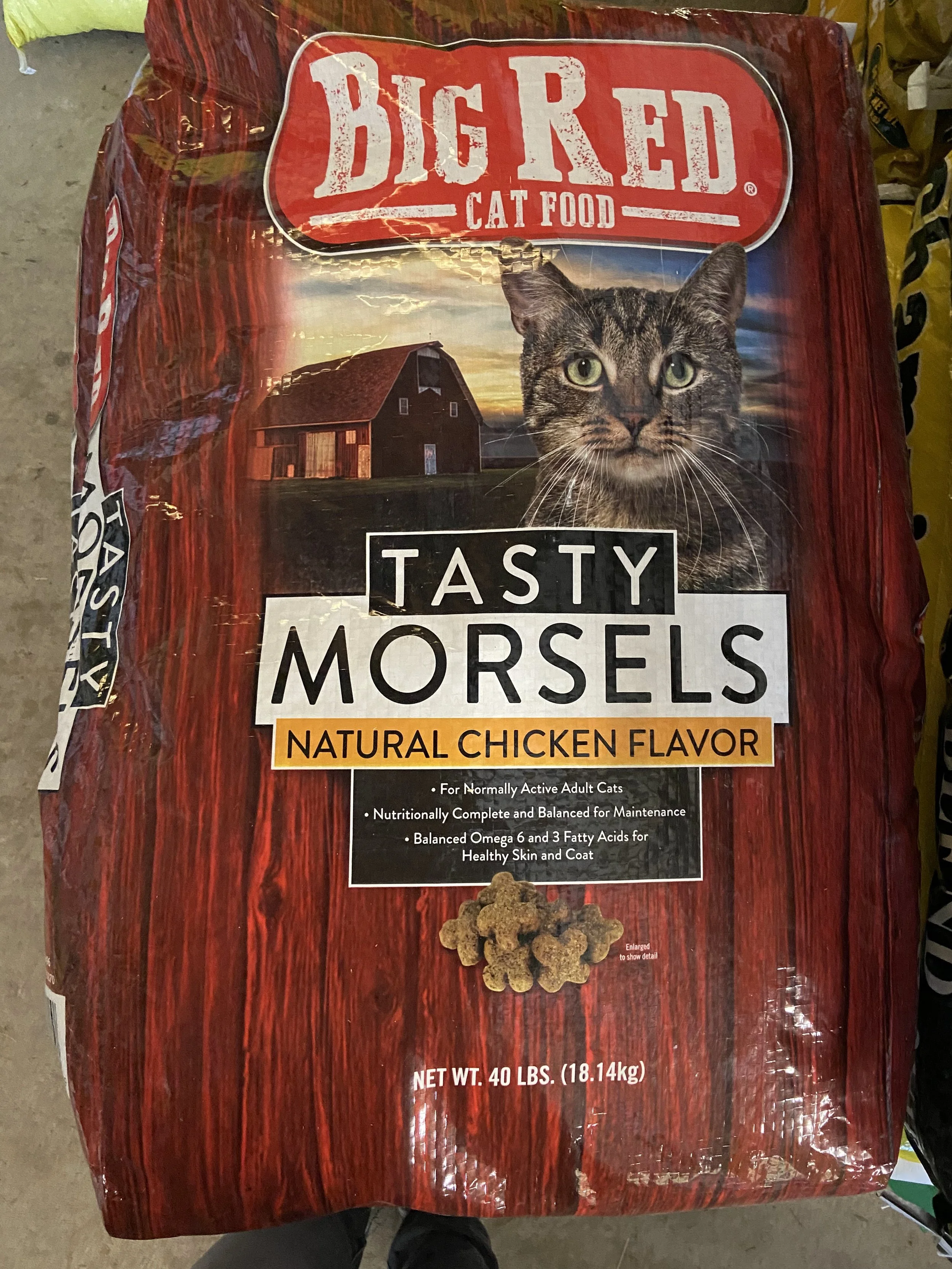 Cat + Dog — Deep Creek Game Farm