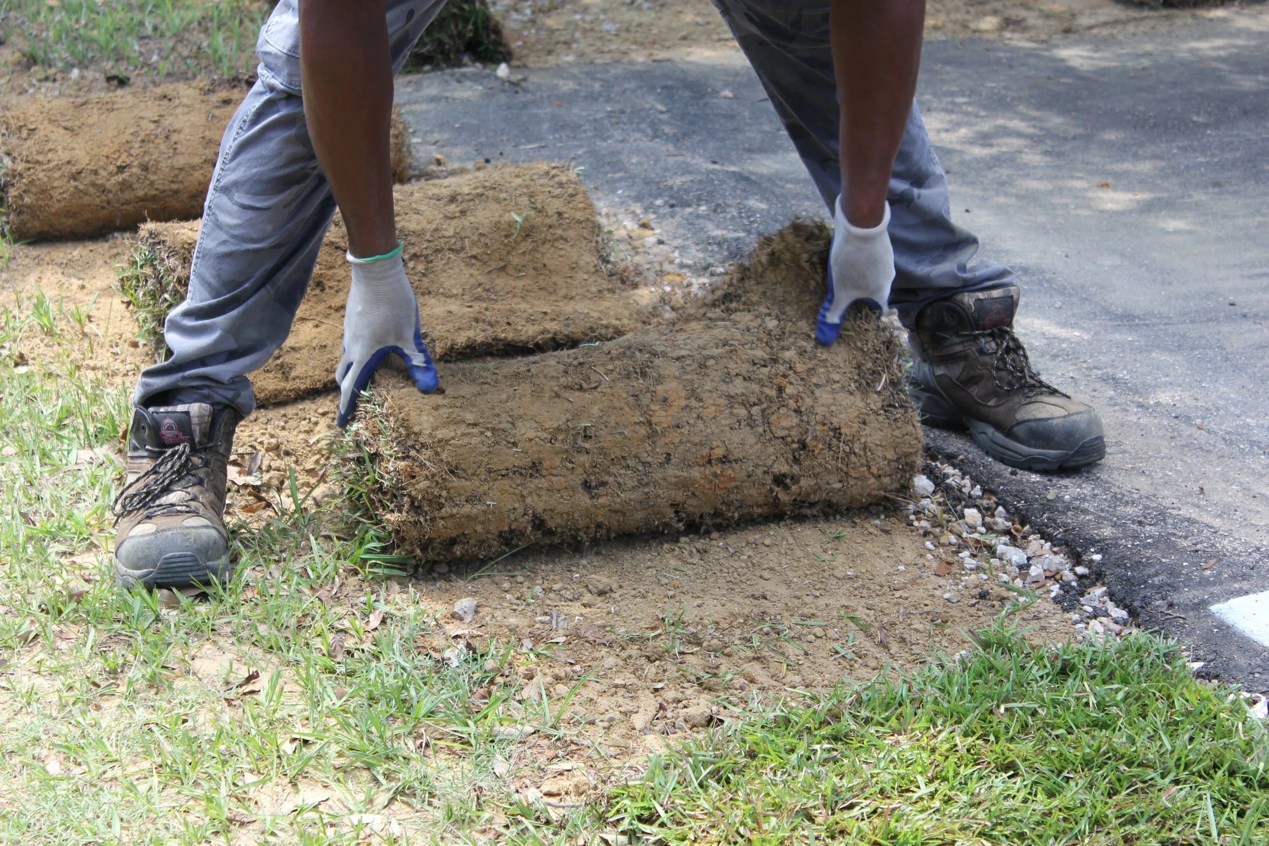 Green Magic Landscape